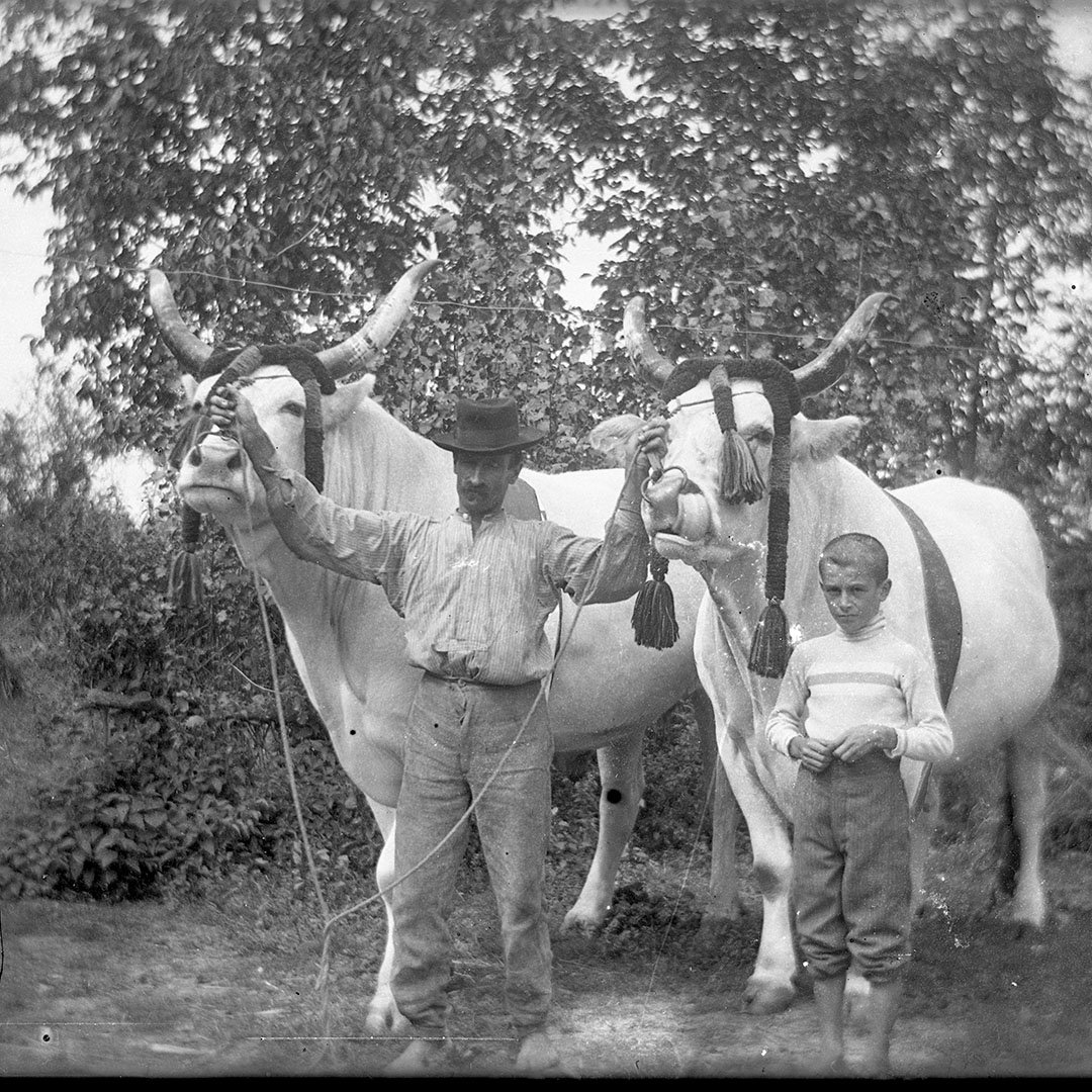 Al Museo RIcci Curbastro la mostra “Piccole storie di comunità ...