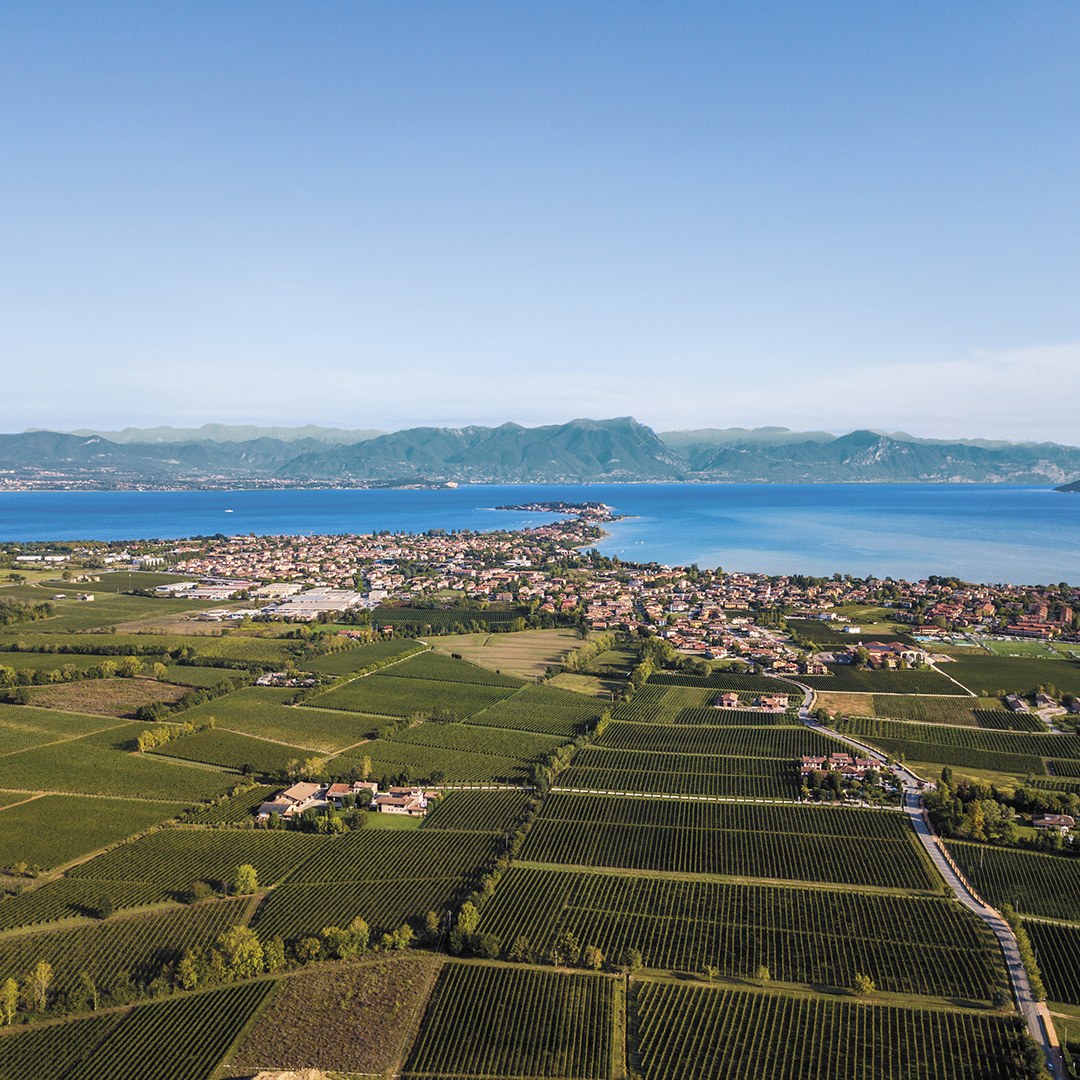 La (R)Evolution di Cà Maiol raccontata dal gm Alessandro Marzotto ...