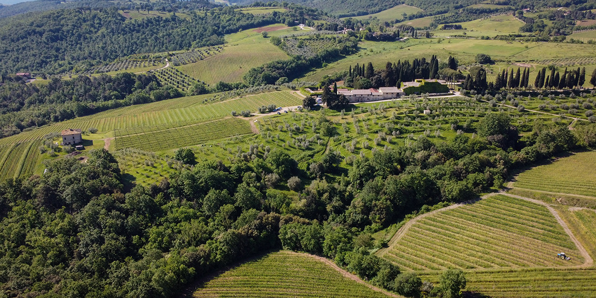 Nelle vigne della Tenuta Greppo si cambia tutto perché nulla cambi ...