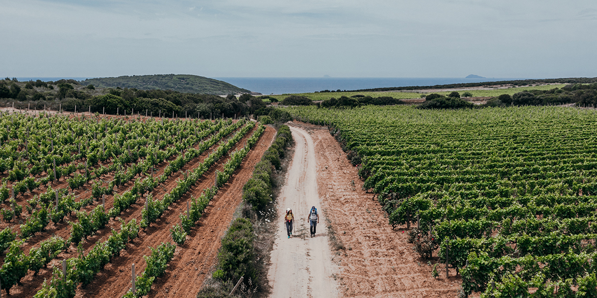 Un premio per il Sentiero del Carignano del Sulcis - Civiltà del bere